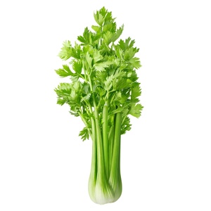 Produce - Seasonal Produce - Hudson Milk + Market